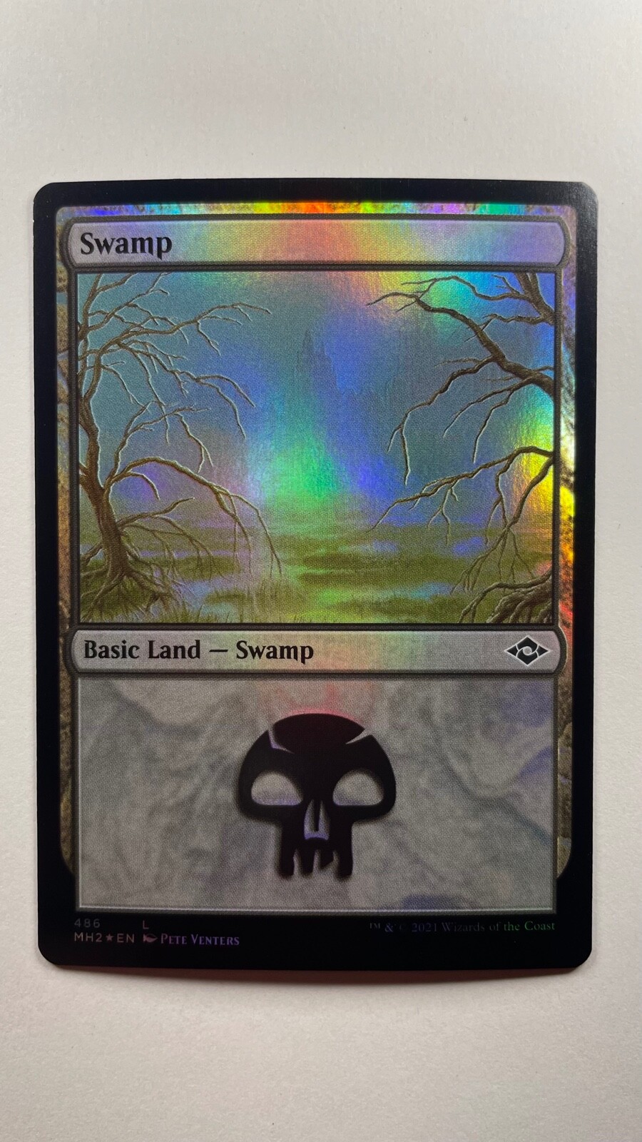 MTG Modern Horizons 2 Swamp Foil #486 | eBay