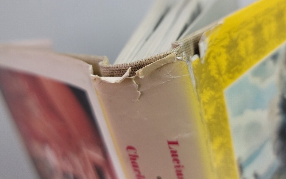 The Age of Steam by Lucius Beebe Charles Clegg HCDJ Book VTG Railroad ...