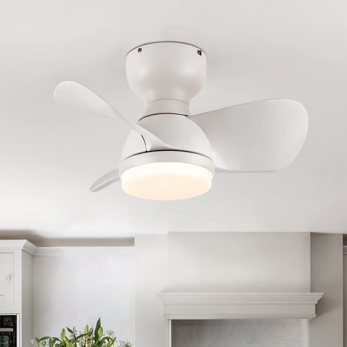 Mini Ceiling Fans With Lights