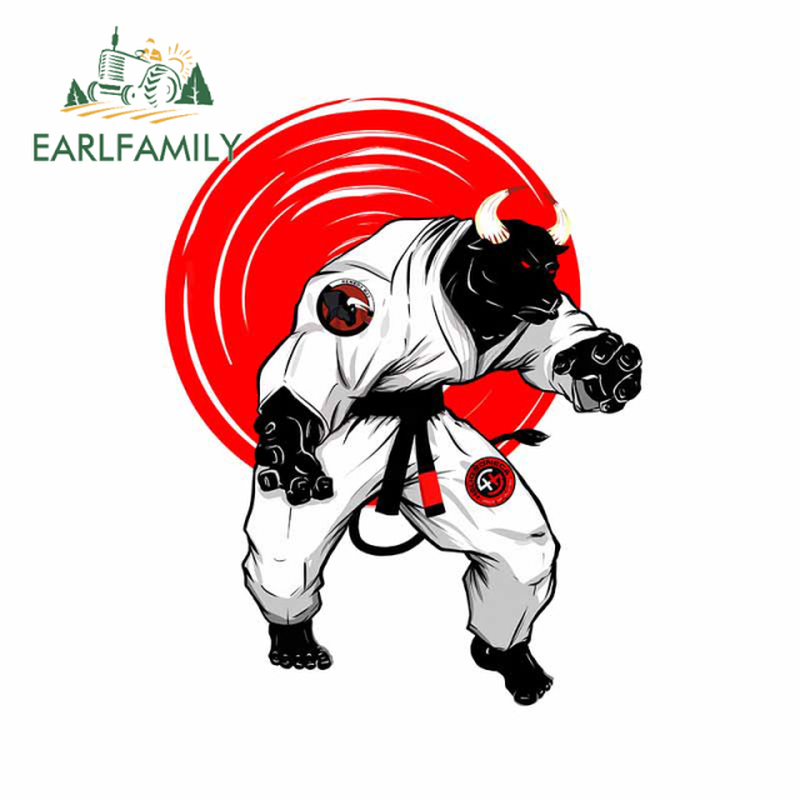 Custom Made Brazilian Jiu Jitsu Decals Stickers For Car Or Academy Door ...