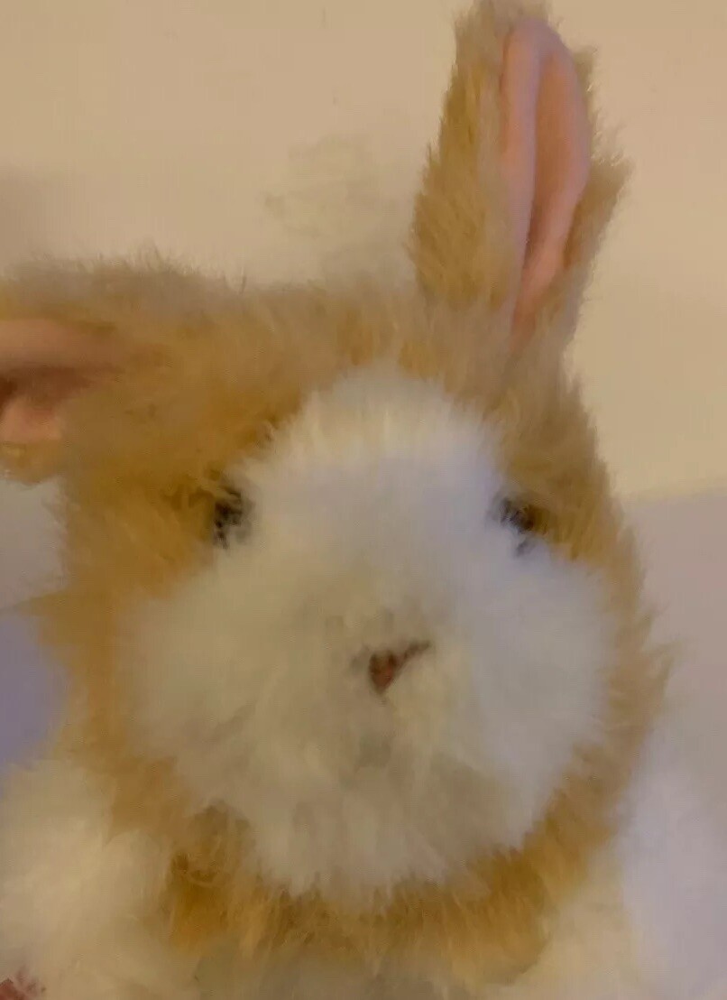 FurReal Friends Hop N Cuddle Tan Bunny Rabbit Interactive Plush Hasbro ...