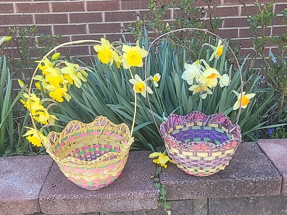 VTG LOT 2 EASTER BASKETS HANDLED WOVEN DYED SPLINT ROUND W/ SALLOP EDGE ...