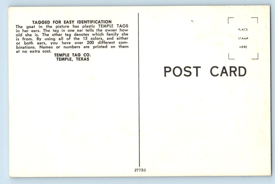 c1950's Temple Tag Co. Goat Tagged For Easy Identification Temple Texas ...