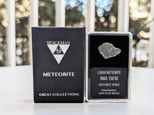 Authentic NWA 15018 Lunar Meteorite, Certified Moon Rock | eBay