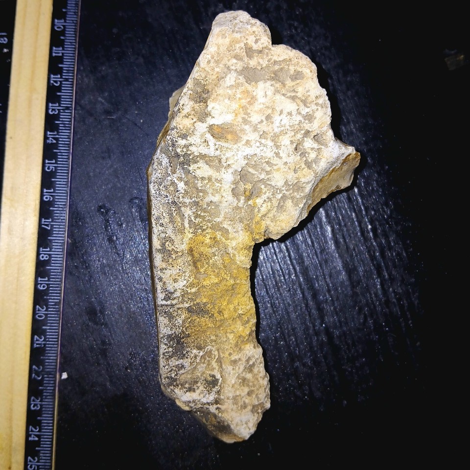 Native American Indian Authentic Stone Tool Artifact Elephant Effigy | eBay