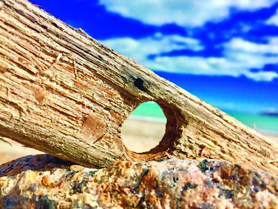 CANVAS Driftwood Keyhole by Michelle Deegan 12x16 Wall Art Reproduction ...