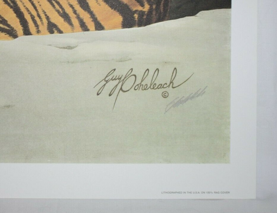 Bengal Brace Panthera Tigris by Guy Coheleach Big Cat Wildlife Tiger ...