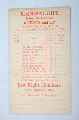 Vintage Postcard Just Right Hatchery Baby Chick Order Form N. Baltimore ...