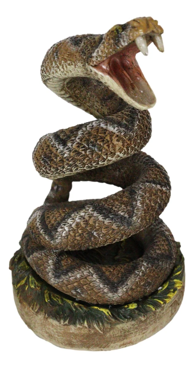 Coiled Rattlesnake Striking