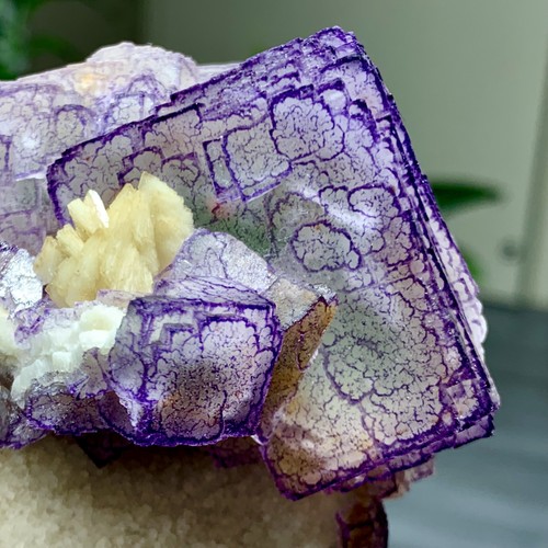 2LB Natural Purple "QR Code"Fluorite Cluster Crystal Mineral Specimen ...
