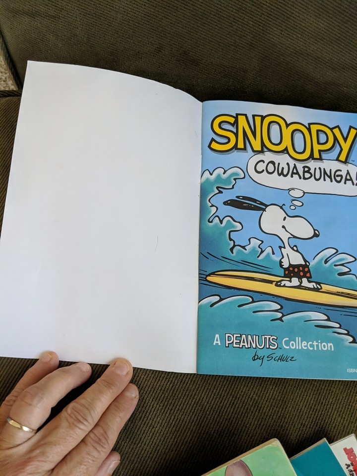 Peanuts A Collection of Comics AMP POW!, Snoopy Cowabunga, Charlie ...