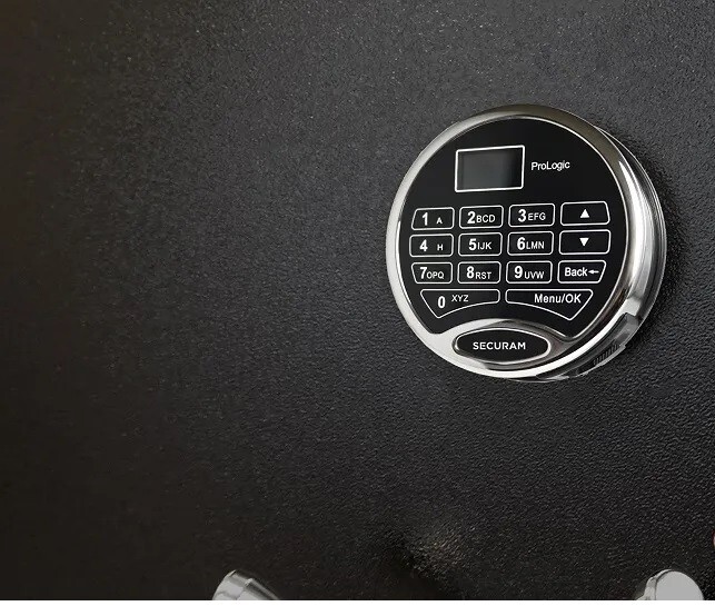 Securam ProLogic L66 Lock Kit w/ Swingbolt Lock - OLED Screen - 30 User ...