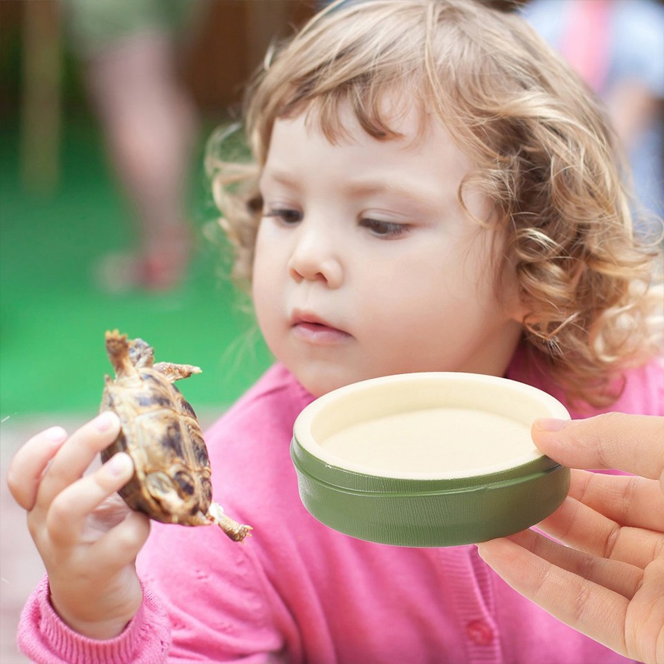 Reptile Food Water Bowl Reptile Turtle Lizard Food Bowl Drinking Bowl ...