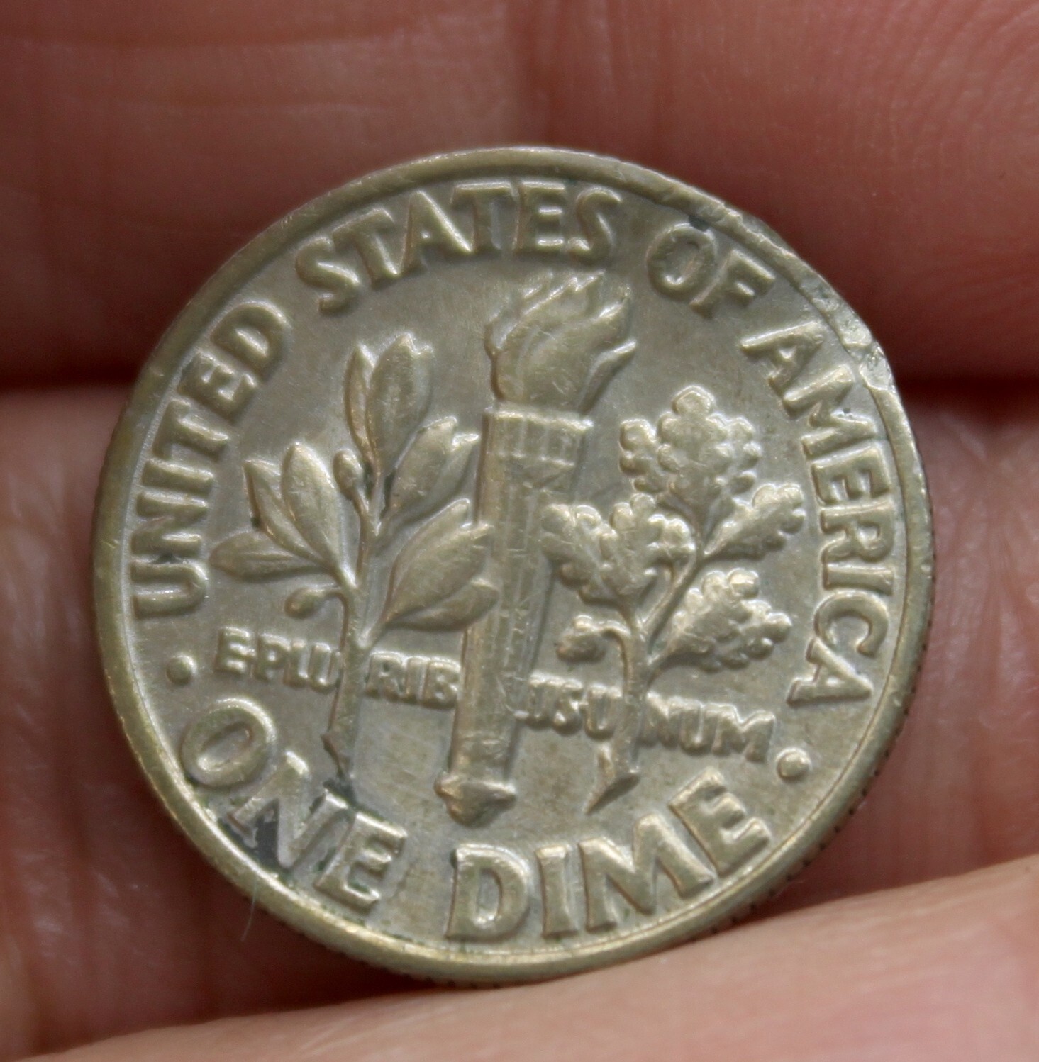 US 1984 P Roosevelt Dime Coin US 10 Cent curved edge Error | eBay