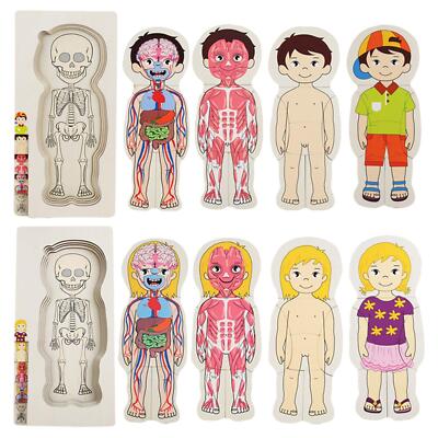Wood Puzzle Human Body Toy Teaching Tool Development Toy Preschool Game ...
