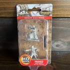 Pathfinder Battles Deep Cuts: Human Male Monk Highly Detailed 2017 ...