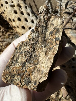 U Ore Mineral Specimen, Cloud Chamber & Geiger Counter Check Source ...