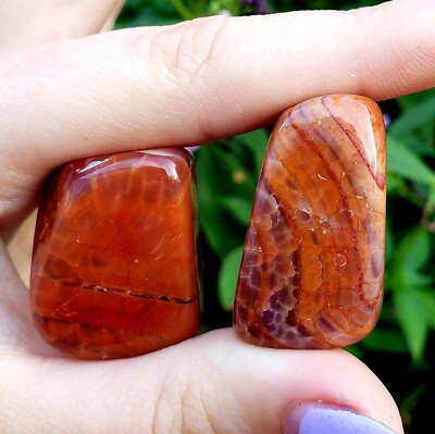 Fire Agate Tumbled & Polished Natural Healing Crystal Gemstones Mexico ...