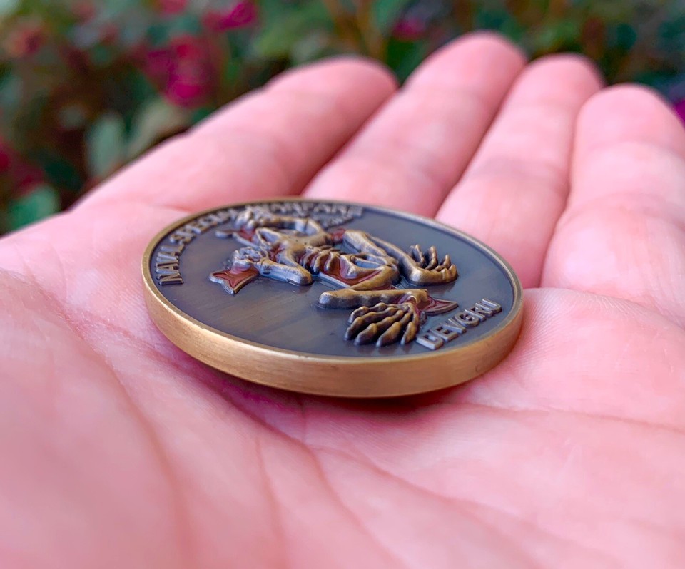 Navy Seal Team 6 DEVGRU NSW Gold Indian Skull Tribe Bone Frog Challenge ...