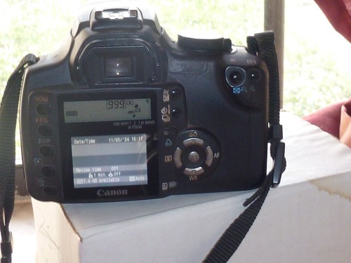 Canon EOS Digital Rebel XT / EOS 350D 8.0MP Digital SLR Camera - Black ...