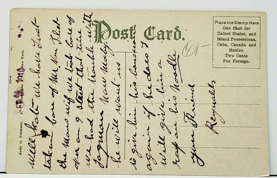 Michigan Hill Side John Ball Park Grand Rapids 1910 Postcard I14 | eBay