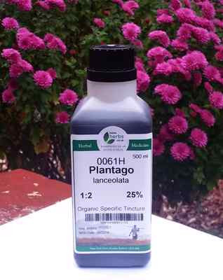 Organic Plantago Lanceolata - LARGE!! 500ml Herbal Tincture. | eBay