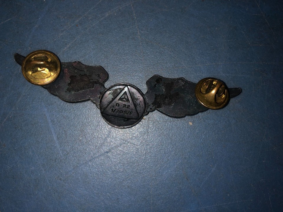 Vietnam War US Air Force CIVIL AIR PATROL Pilot Wing CAP Badge | eBay