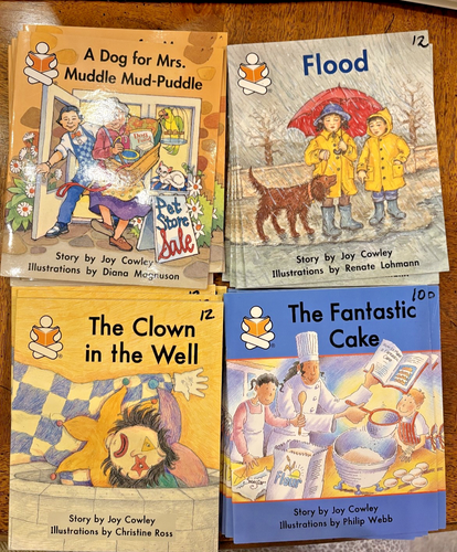 NEW Guided Reading STORY BOX 24 books 1st Grade Level G/12 - I/16 JOY ...