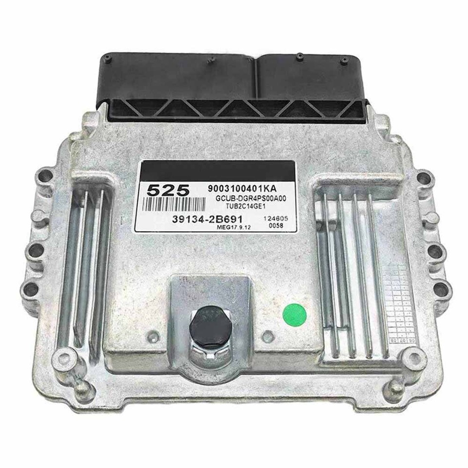 39134-2B691 Engine Computer Board ECU For Kia 525 MEG17.9.12 | eBay
