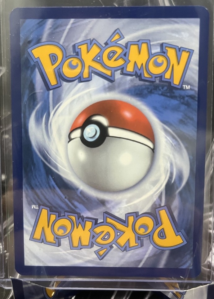 Pokémon Phanpy Illustration Rare Holo 205/191 Sv08: Surging Sparks ...