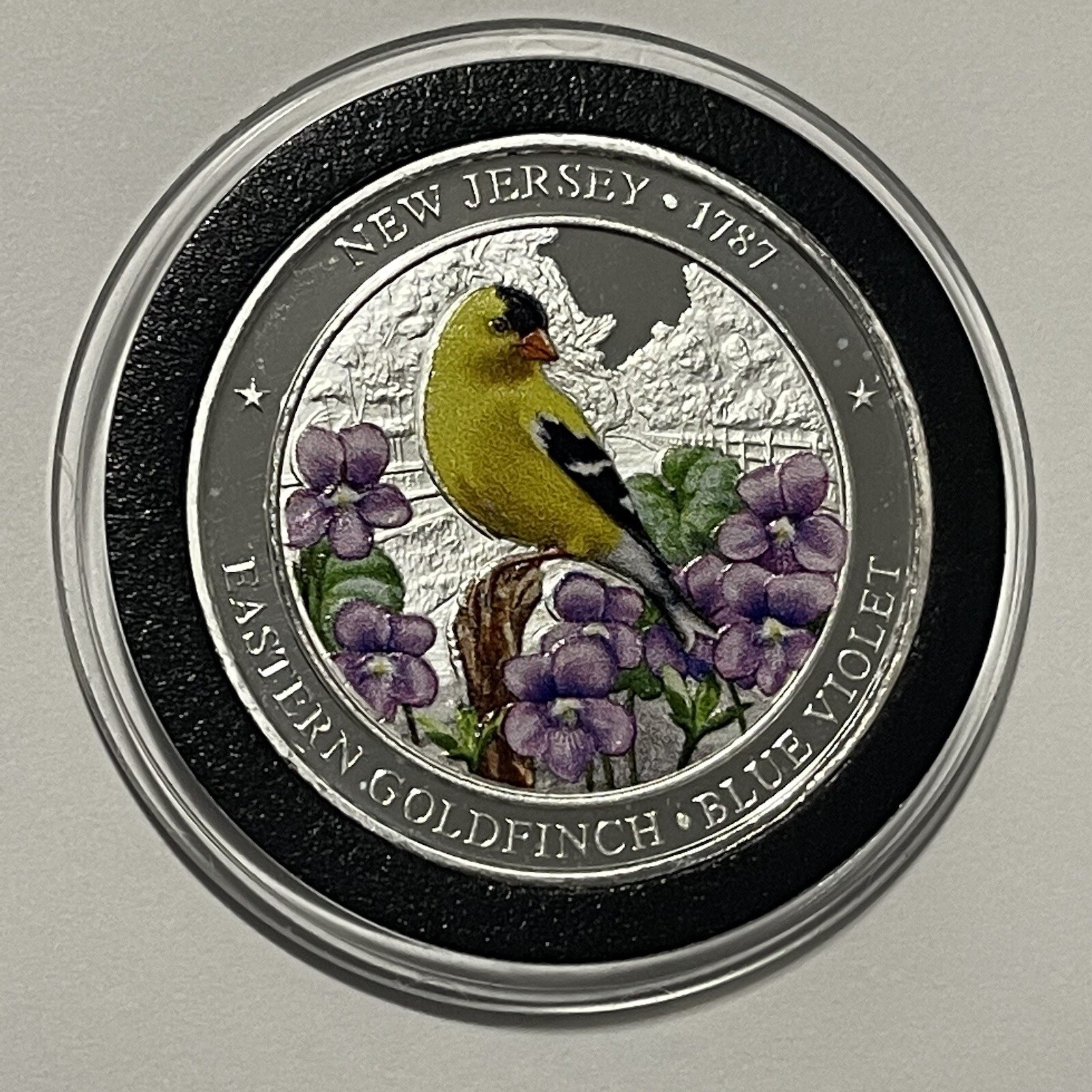 RARE New Jersey Flag Goldfinch Blue Violet Coin 1 Troy Oz .999 Fine ...