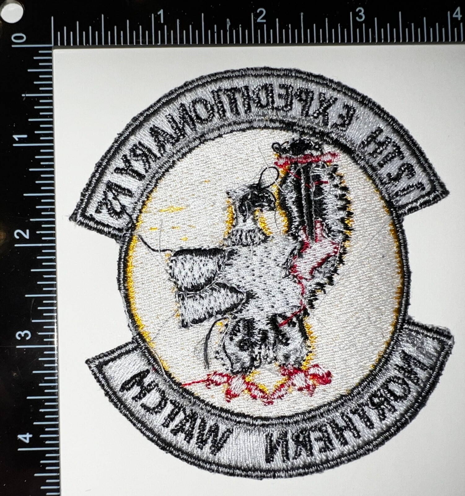 Operation Northern Watch USAF 12th Expeditionary Fighter Squadron Patch ...
