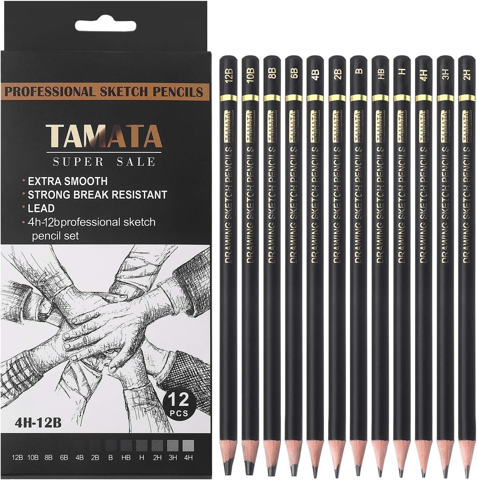 12 Pc Drawing Pencil Set (12B-4H), Graphite Sketching & Shading for All ...
