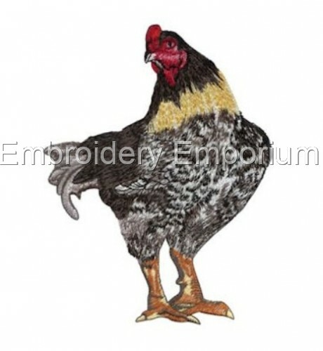 ROOSTERS 1 COLLECTION - MACHINE EMBROIDERY DESIGNS ON USB 5X7 | eBay