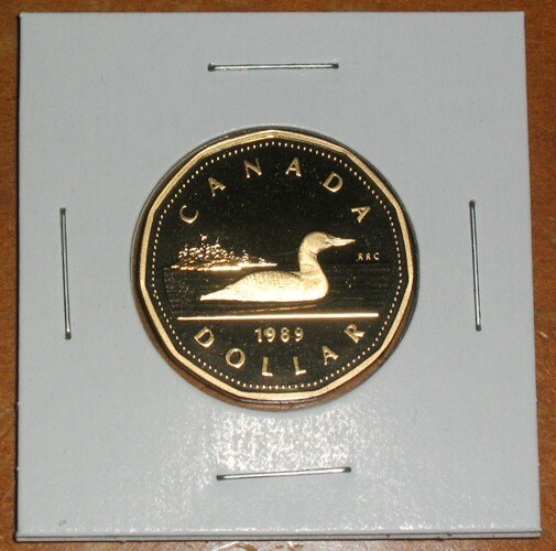 Canada 1989 Proof Loonie $1 Dollar One Dollar Loon Coin Ultra Heavy ...