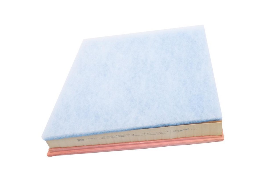GM Genuine Parts 25945274 Air Filter | eBay