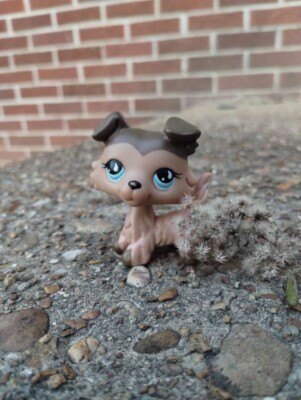 Lps Collie 893 Authentic | eBay