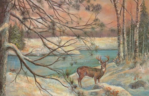 Woodland Winter Scene Buck Deer Eau Claire Wisconsin Vintage Chrome ...