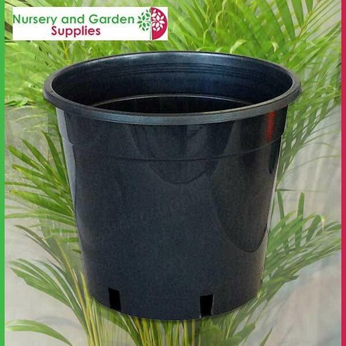 250mm Plant Pot - Pack of 72 - Plastic Growers Pot (10") - Garden ...