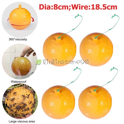 2/4x Fruit Fly Trap Sticky Ball Fungus Gnat Pest Control Ball for ...