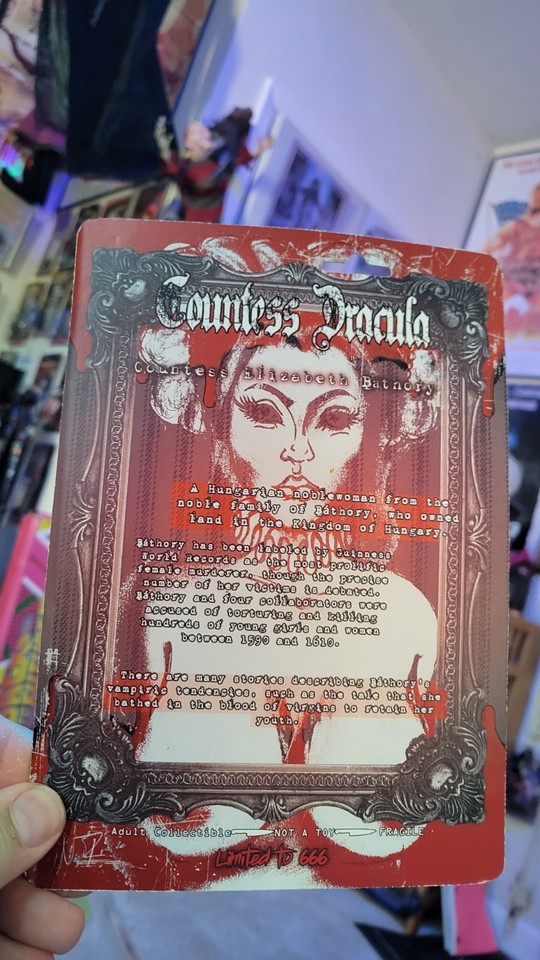 Elizabeth Bathory Figure | eBay