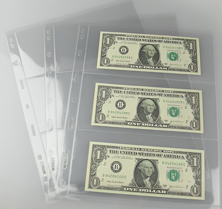 10 PCS Clear Rigid Money Sleeves – 9‑Hole Binder, 30‑Pocket Currency ...