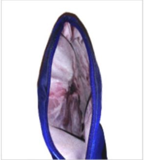 Blue Tang Fish Real Fish-like Zipper Pen & Make-up Pouch Pencil Case ...