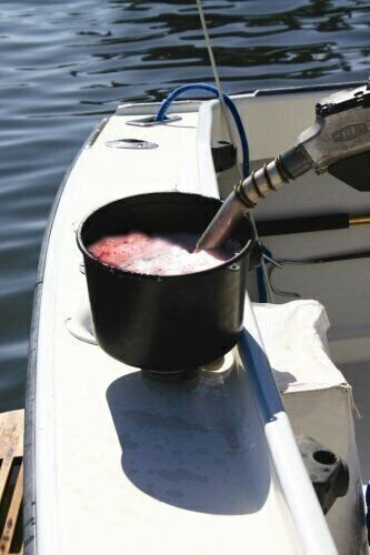 Hopkins Mr Funnel 2.5gpm Small Conductive Fuel Filter Funnel 6"H 3.5 ...