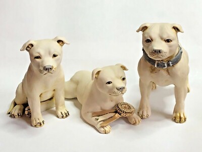 Neil Eyre EyreDesigns Staffordshire Staffy Bull Terrier Laying Show ...
