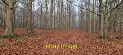 Photo 6x4 Blackball Firs, Wiltshire Rollestone Camp Looking north along ...
