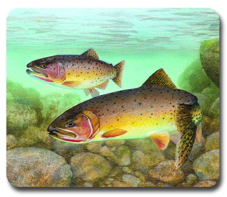 Cutthroat Trout Fishing ~ Mousepad / PC Mouse Pad ~ Fish Fly Fisherman ...