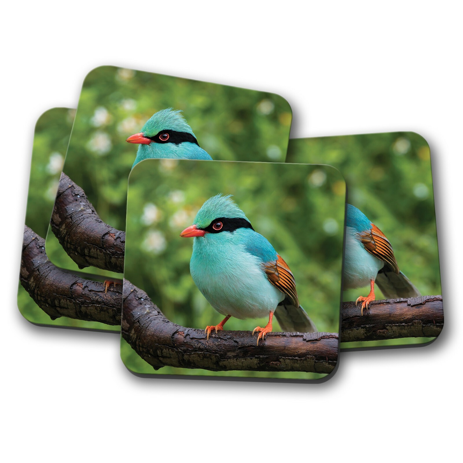 4 Set - Indochinese Green Magpie Coaster - Bird Emerald Asia China Gift ...