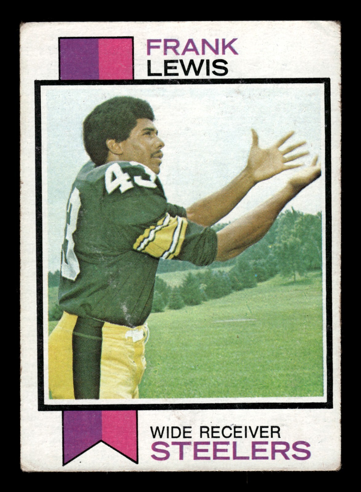 1973 Topps Frank Lewis RC #456 Pittsburgh Steelers | eBay