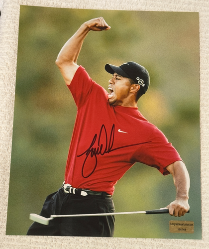 TIGER WOODS AUTOGRAPHED SIGNED 8x10 PHOTOGRAPH AUTO PHOTO w/ COA in ...
